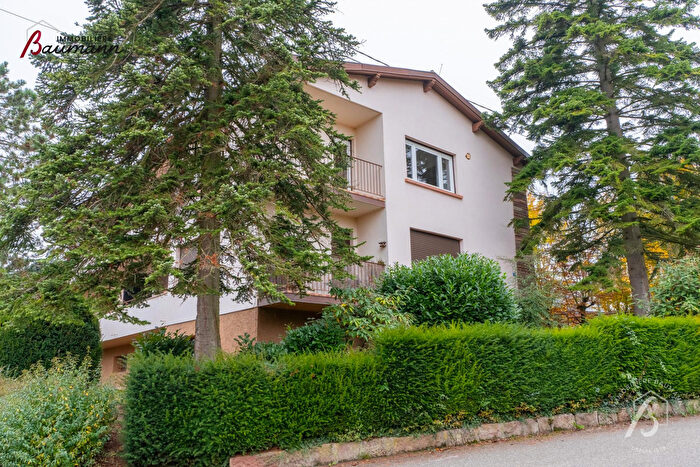 Appartement à louer - Rosheim - 2 pièces - 1 chambre