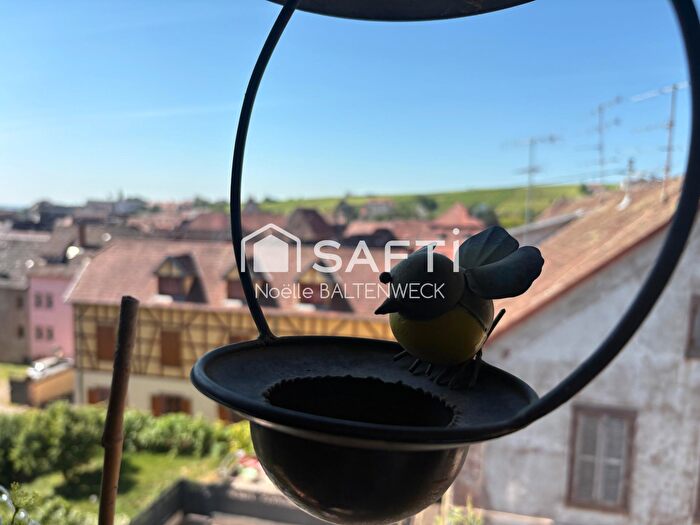 Ribeauvillé : Appartement 1 pièce à vendre