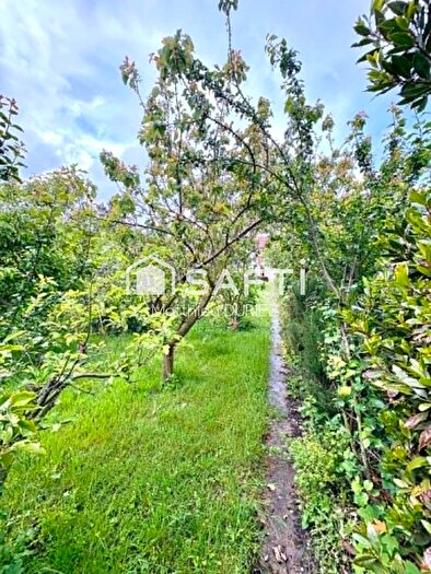 Hondschoote : Maison 11 pièces à vendre