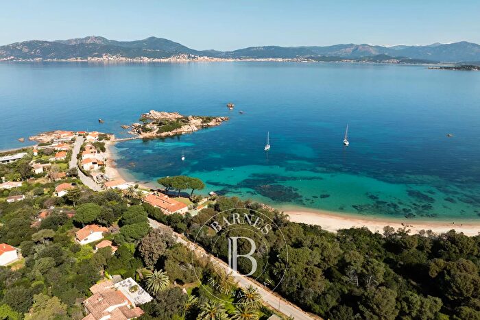 Maison à vendre - Grosseto-Prugna - 4 pièces - 3 chambres