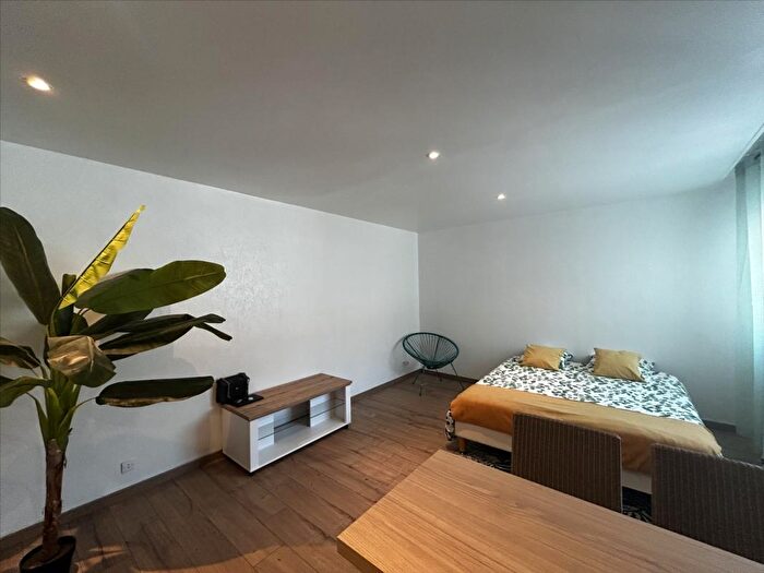 Appartement 1 pièce à louer à Colmar, Saint-Joseph, Mittelhart