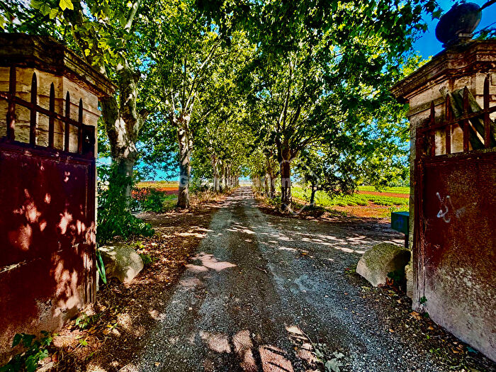 Maison 10 pièces à vendre - Mauguio, Jean-Paul Beugnot, Ferrari