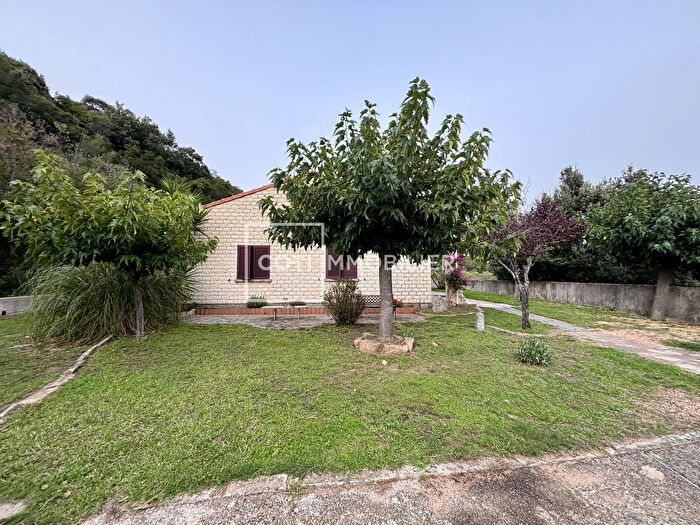 Maison à louer - Sartène - 5 pièces - 3 chambres