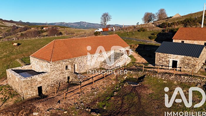 Maison à vendre - Mézilhac - 4 pièces - 3 chambres