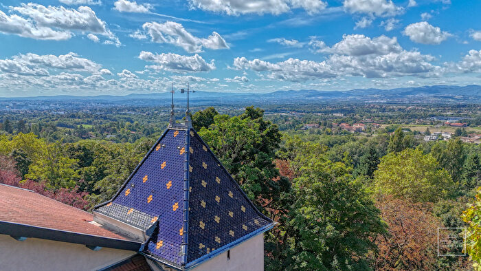 Maison à vendre - Saint-Didier-au-Mont-dOr - 16 pièces - 5 chambres