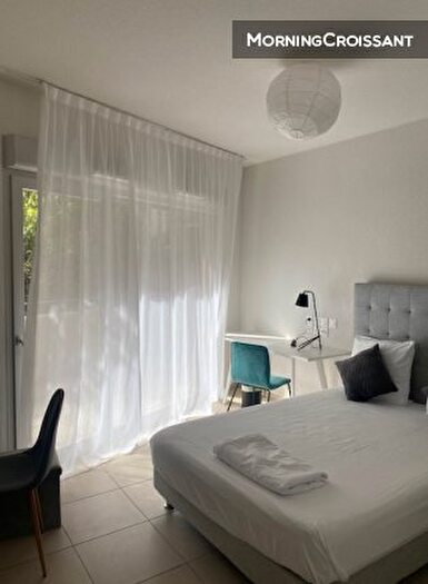 Montpellier, Alco : Appartement 1 pièce à louer