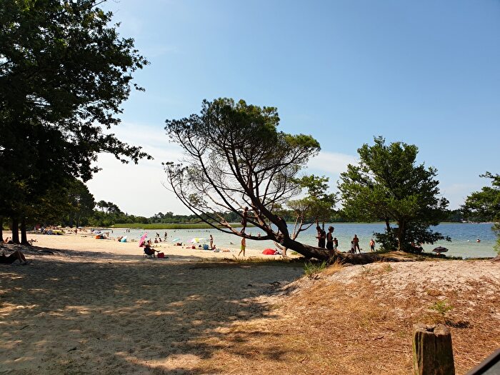 Maison à vendre - Labouheyre - 4 pièces - 3 chambres