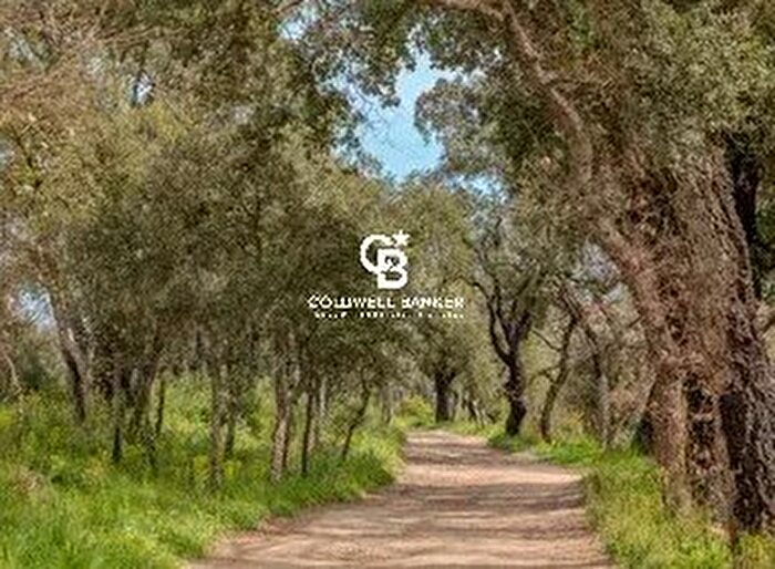 Maison à vendre - Cogolin, Argentière, Grenouille - 10 pièces - 6 chambres