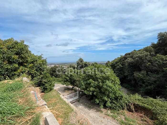 Maison à vendre - Borgo - 5 pièces - 3 chambres
