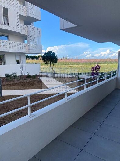 Appartement à louer - Sablas-Mendrous O-Languedoc O, Castelnau-le-Lez - 2 pièces - 1 chambre