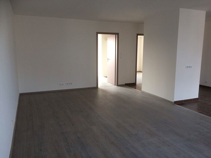Appartement à louer - Strasbourg, Vauban, Conseil des XV, Caserne Lecourbe - 5 pièces - 3 chambres