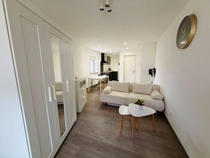 Thaon-les-Vosges - Appartement 1 pièce à louer