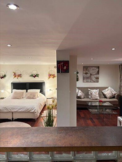 Appartement à louer - Ormesson-Jean Jaurès, Épinay-sur-Seine - 1 pièce