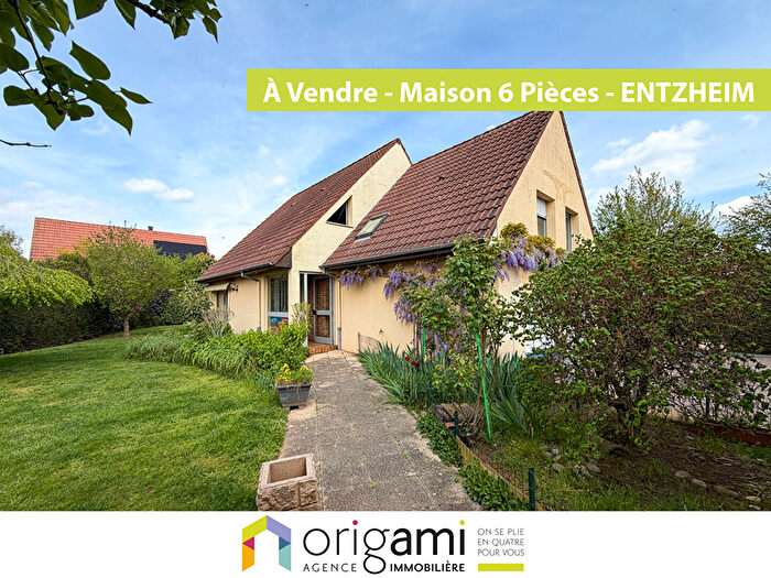Maison à vendre - Entzheim - 6 pièces - 5 chambres