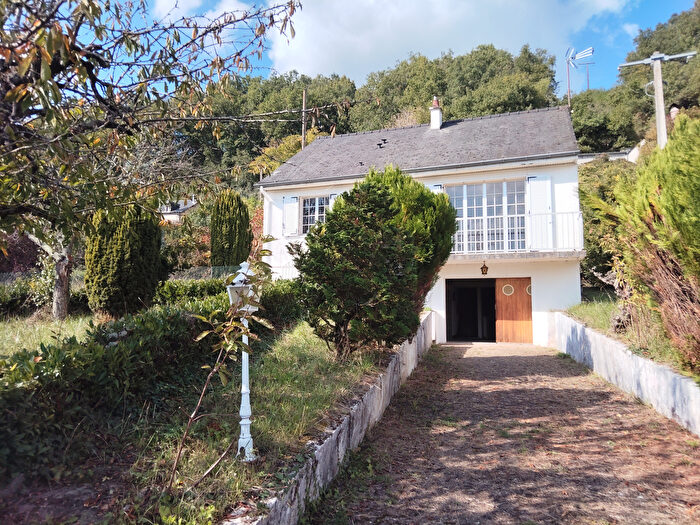 Maison à vendre - Vernou-sur-Brenne - 4 pièces - 2 chambres