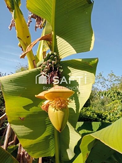 Maison à vendre - Foussais-Payré - 8 pièces - 3 chambres
