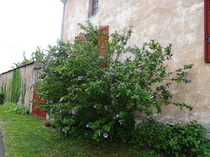 Maison à vendre - Sampigny-lès-Maranges - 6 pièces - 3 chambres