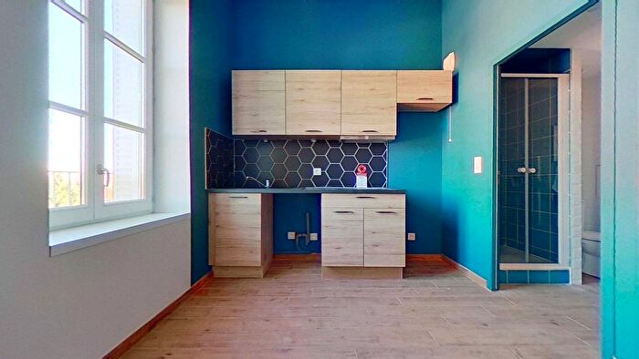 Les Genêts-Le Vinatier-Le Lessivas, Bron - Appartement 2 pièces à louer