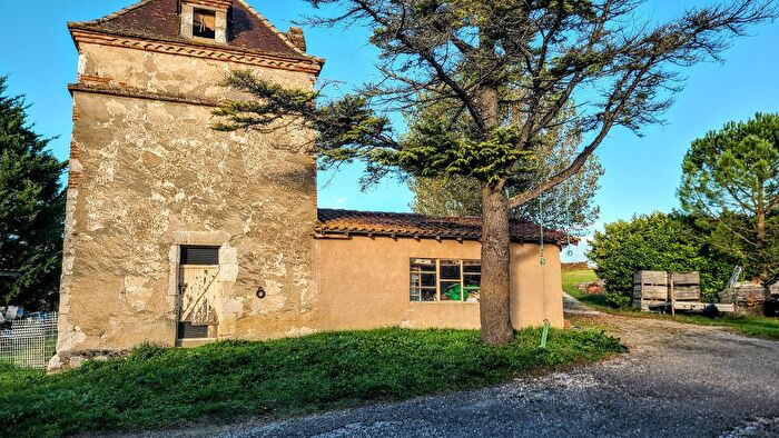 Maison à vendre - Saint-Vincent-Lespinasse - 15 pièces - 11 chambres