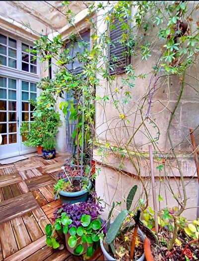 Maison à vendre - Avignon, Palais des Papes, Zone Piétonne - 10 pièces - 6 chambres