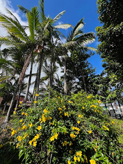 Maison à vendre - Petite-Île, Centre-ville, Piton du Calvaire - 4 pièces - 3 chambres