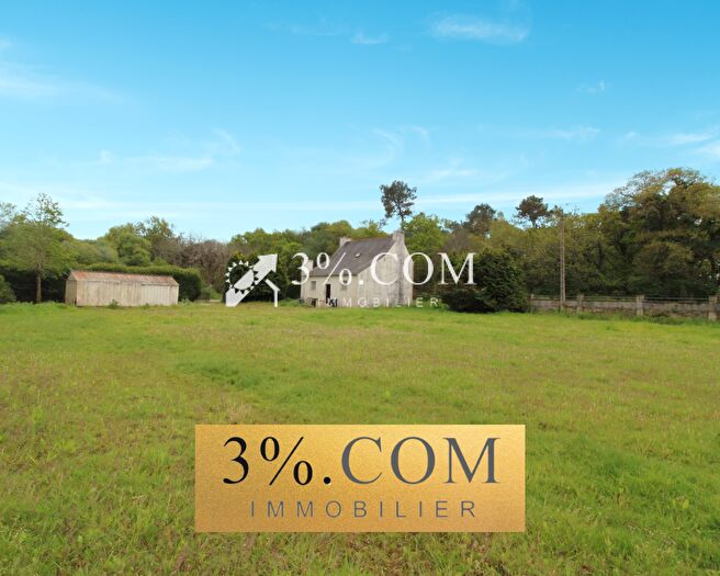 Maison à vendre - Locoal-Mendon - 4 pièces - 2 chambres