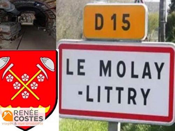 Maison à vendre - Le Molay-Littry - 5 pièces - 5 chambres