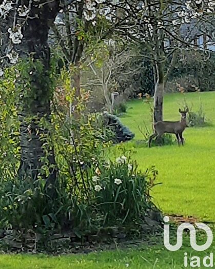 Maison à vendre - Rots - 7 pièces - 5 chambres