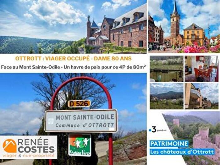 Appartement à vendre - Ottrott - 4 pièces - 2 chambres