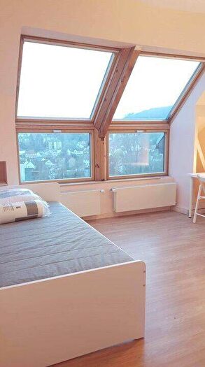 Bas Guichet-Centre Est, Orsay - Appartement 1 pièce à louer