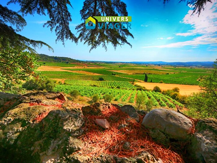 Maison à vendre - Tourouzelle - 8 pièces - 6 chambres