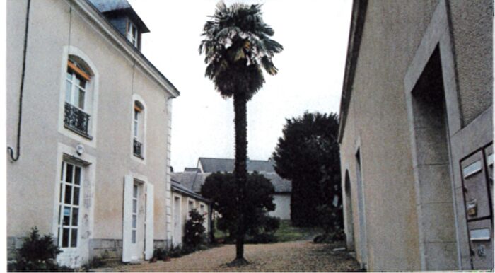 Appartement à louer - Sablé-sur-Sarthe, Rocade, Route de Mans - 2 pièces - 1 chambre