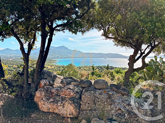 Maison à vendre - Lumio - 5 pièces - 3 chambres