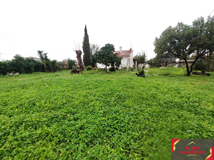 Maison à vendre - Pia - 4 pièces - 3 chambres