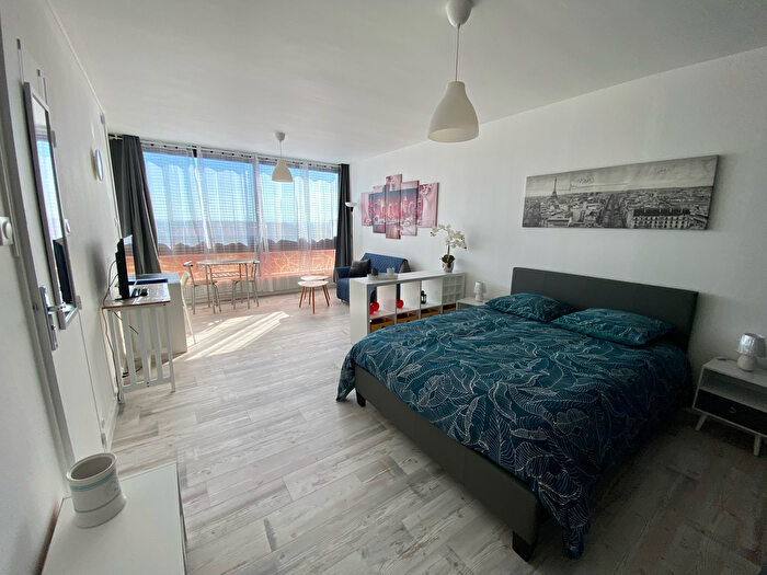 Clermont-Ferrand, Delille, Cathédrale, La Gare : Appartement 1 pièce à louer