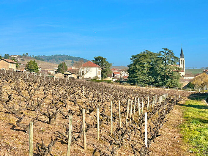 Maison à vendre - Fleurie - 5 pièces - 4 chambres