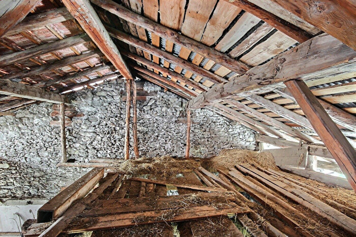 Maison à vendre - Peisey-Nancroix - 3 pièces