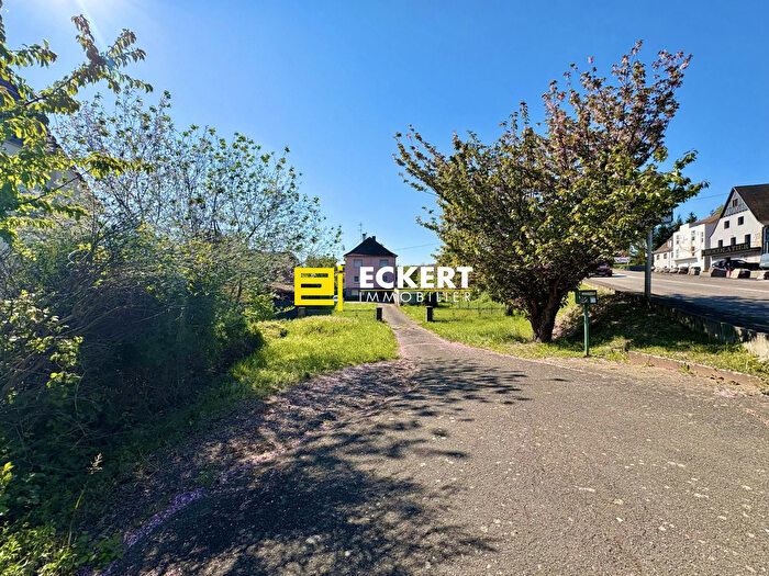 Maison 6 pièces à vendre à Avolsheim