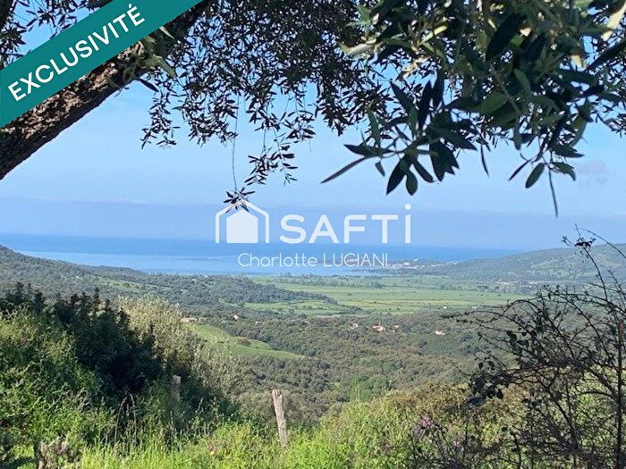 Maison à vendre - Sollacaro - 17 pièces - 14 chambres