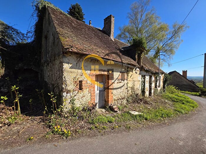 Maison à vendre - Neuvy-Deux-Clochers - 3 pièces