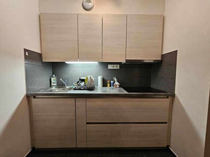 Appartement à louer - Nord Est, Saint-Julien-en-Genevois - 1 pièce