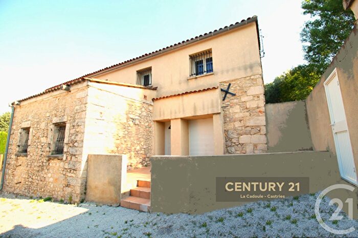 Maison 3 pièces à louer - Teyran