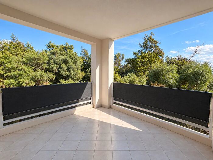 Appartement 3 pièces à louer - Sorbo-Ocagnano