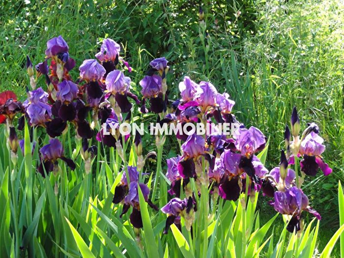 Maison à vendre - Chanas - 4 pièces - 3 chambres