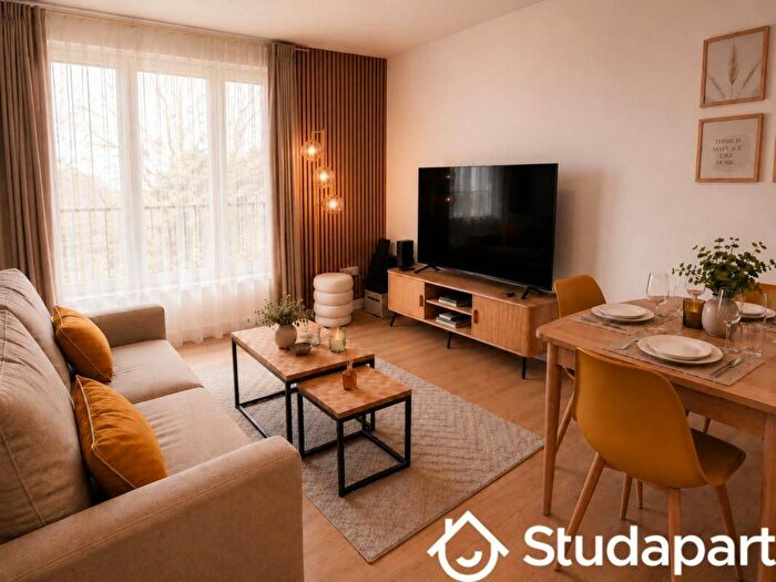 Appartement 1 pièce à louer - Orbelière, Olivet