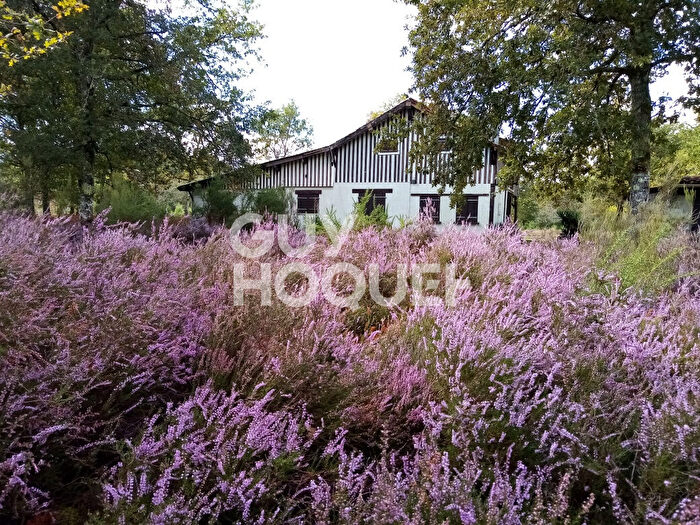 Maison à vendre - Rion-des-Landes - 4 pièces - 3 chambres