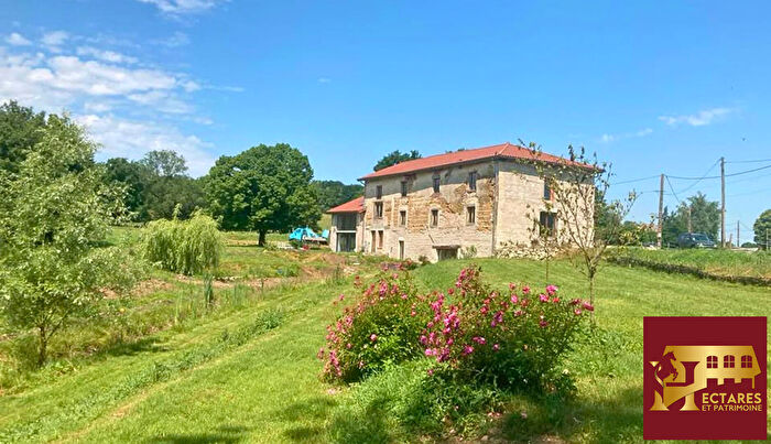 Maison 12 pièces à vendre - Chalamont