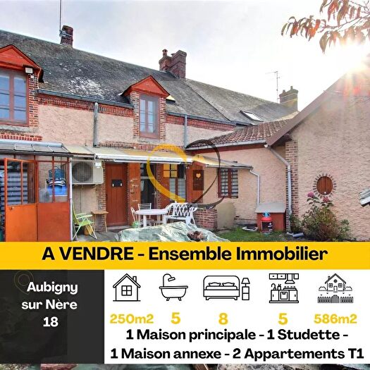 Maison à vendre - Aubigny-sur-Nère - 13 pièces - 8 chambres