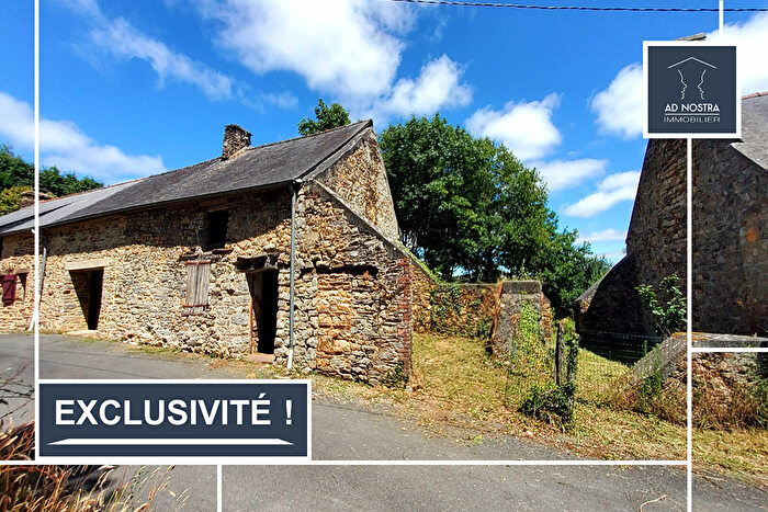 Maison à vendre - Baulon - 1 pièce