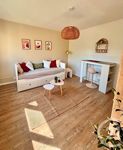 Appartement 1 pièce à louer à Saint-Jean-de-Braye, Centre-ville